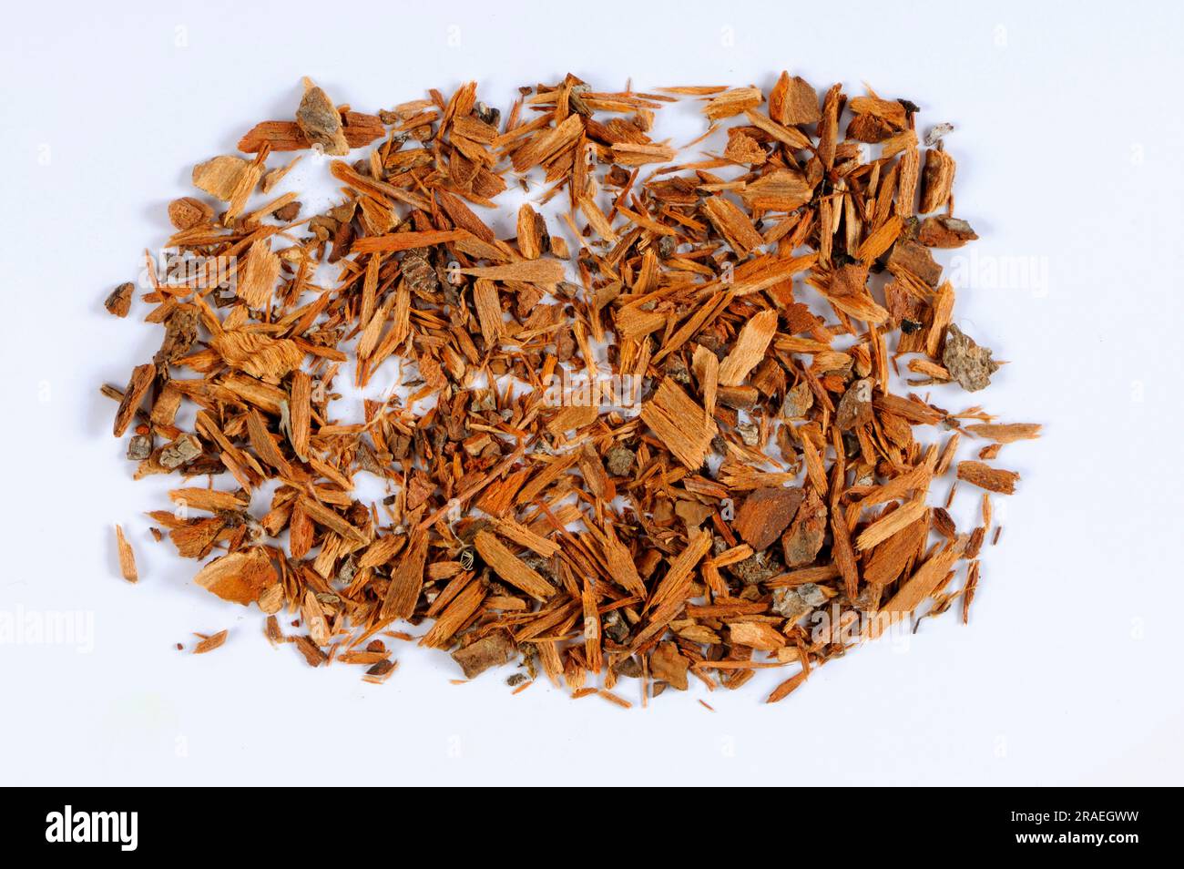 Bark cinchona pubescens hi-res stock photography and images - Alamy