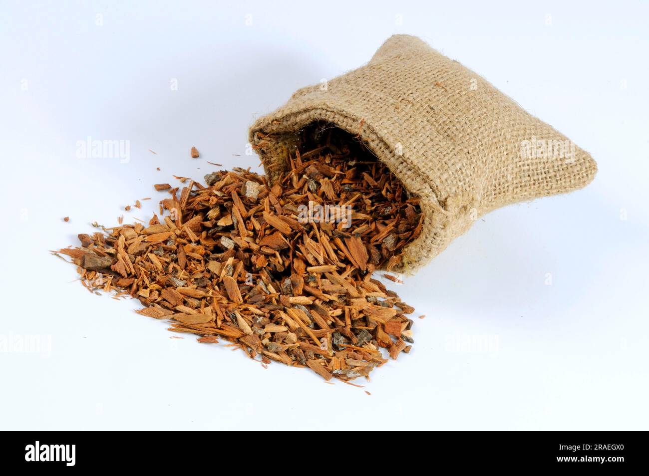 Bark cinchona pubescens hi-res stock photography and images - Alamy