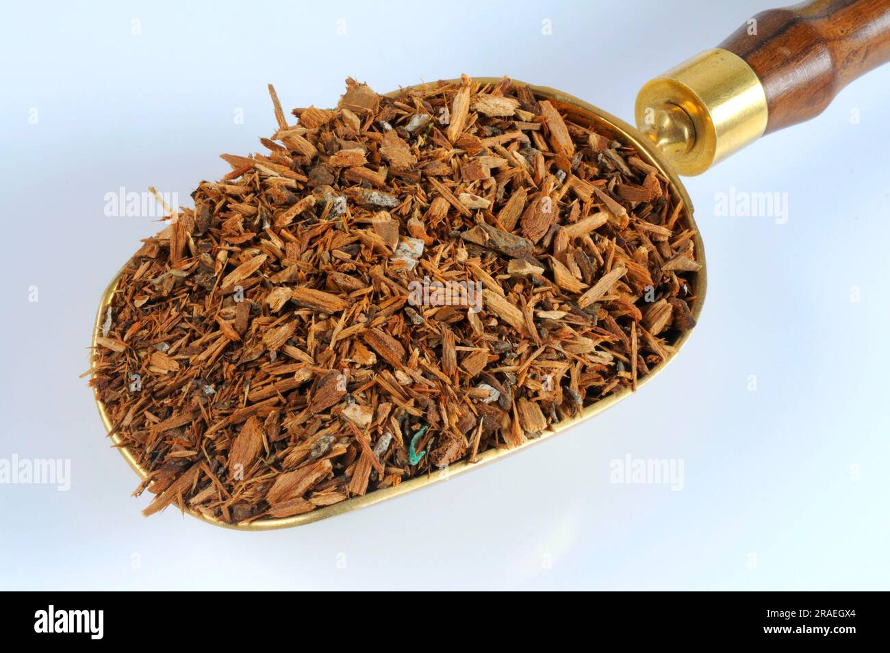 Bark cinchona pubescens hi-res stock photography and images - Alamy