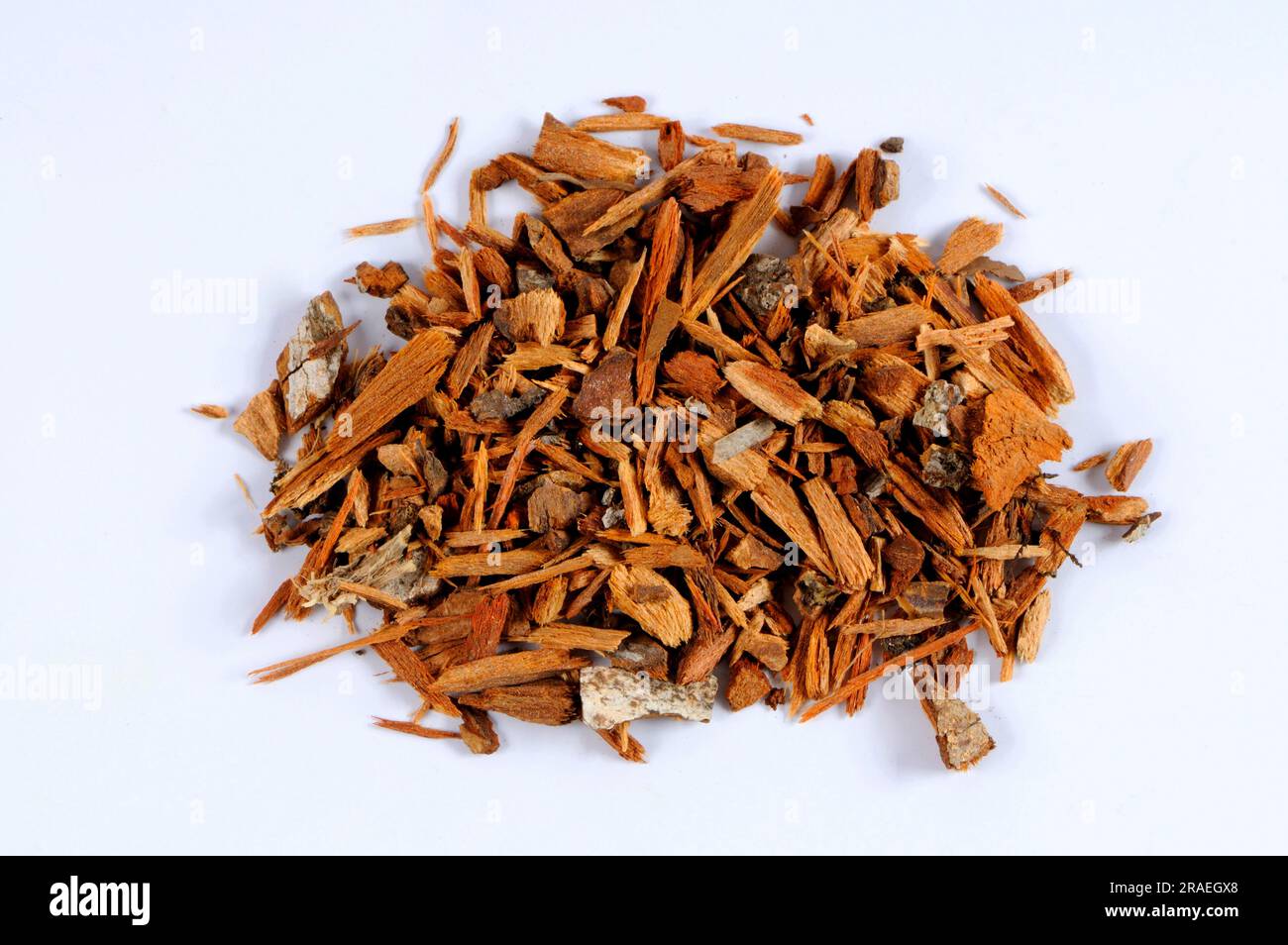 Bark cinchona pubescens hi-res stock photography and images - Alamy