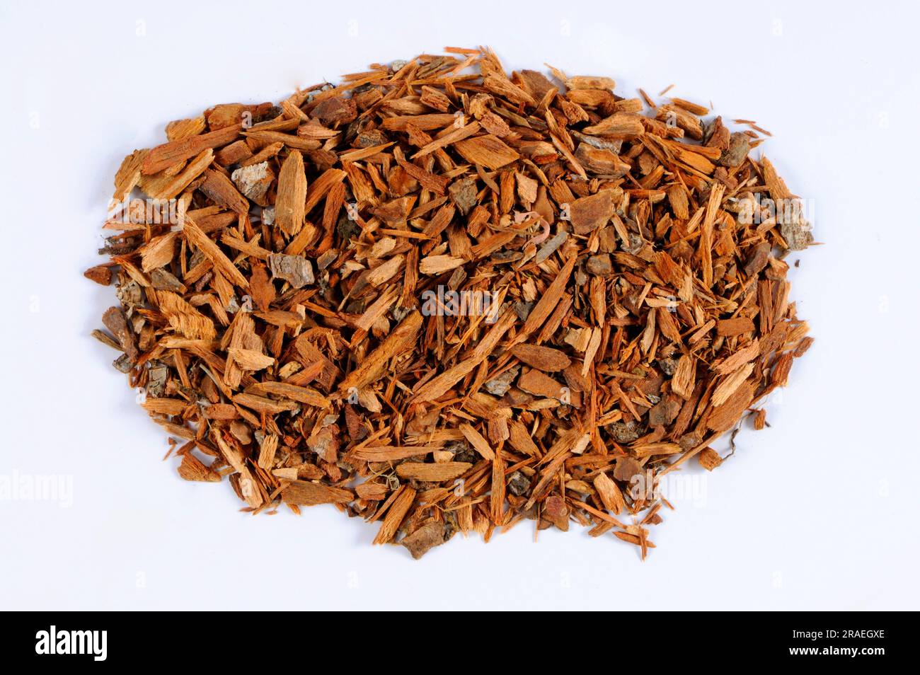 Bark cinchona pubescens hi-res stock photography and images - Alamy