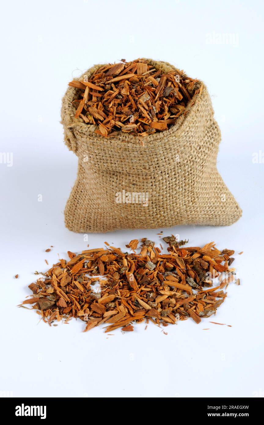 Bark cinchona pubescens hi-res stock photography and images - Alamy