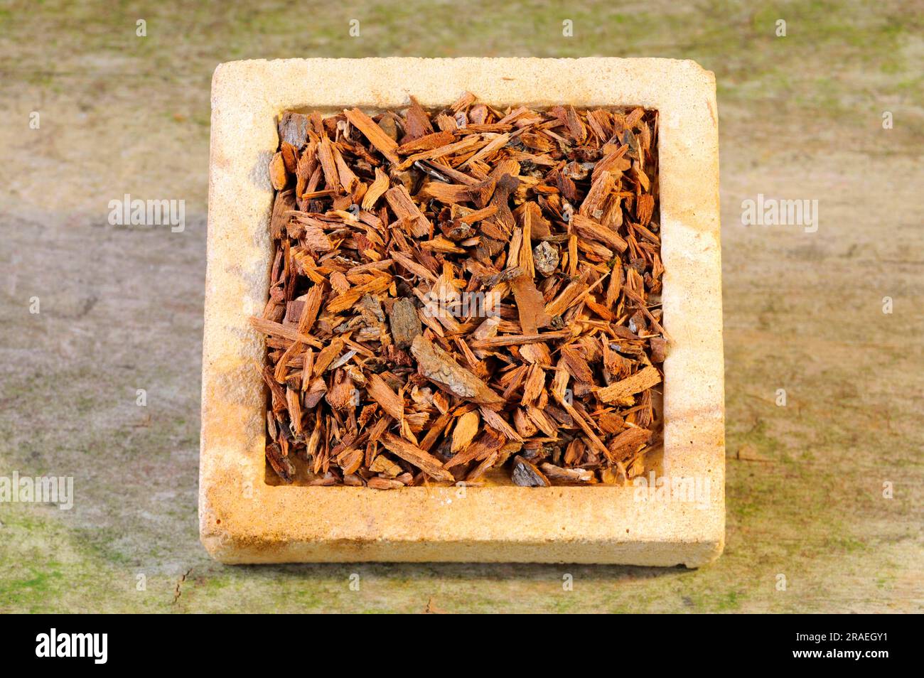 Cinchona tree hi-res stock photography and images - Alamy