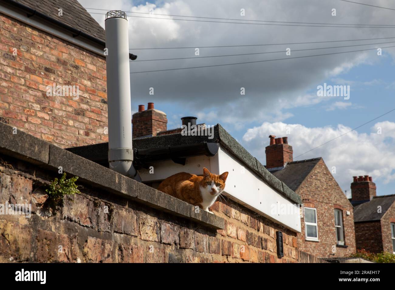 Housing in the City of York, UK. Acomb, York Stock Photo - Alamy