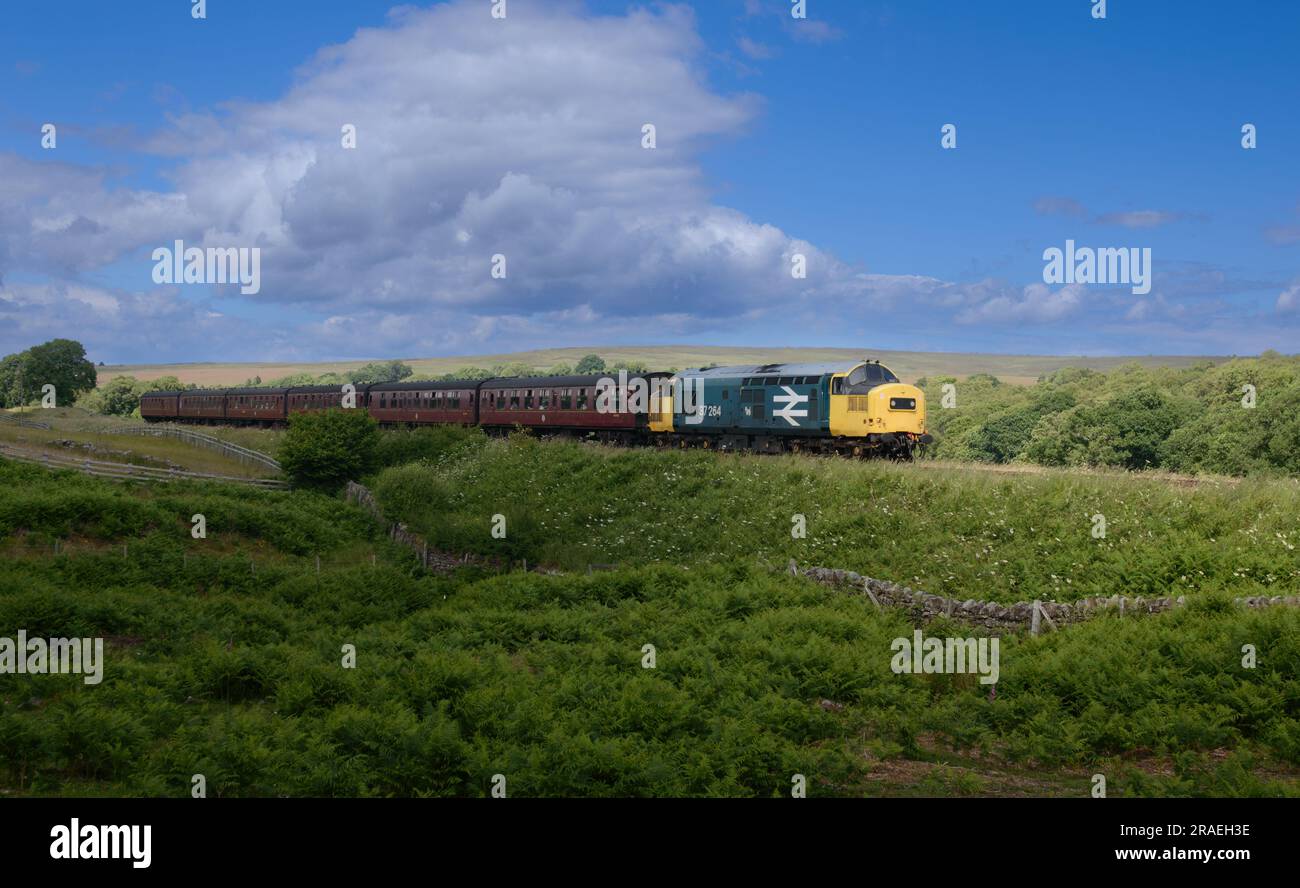 Diesel Class 37264 NYMR Stock Photo - Alamy