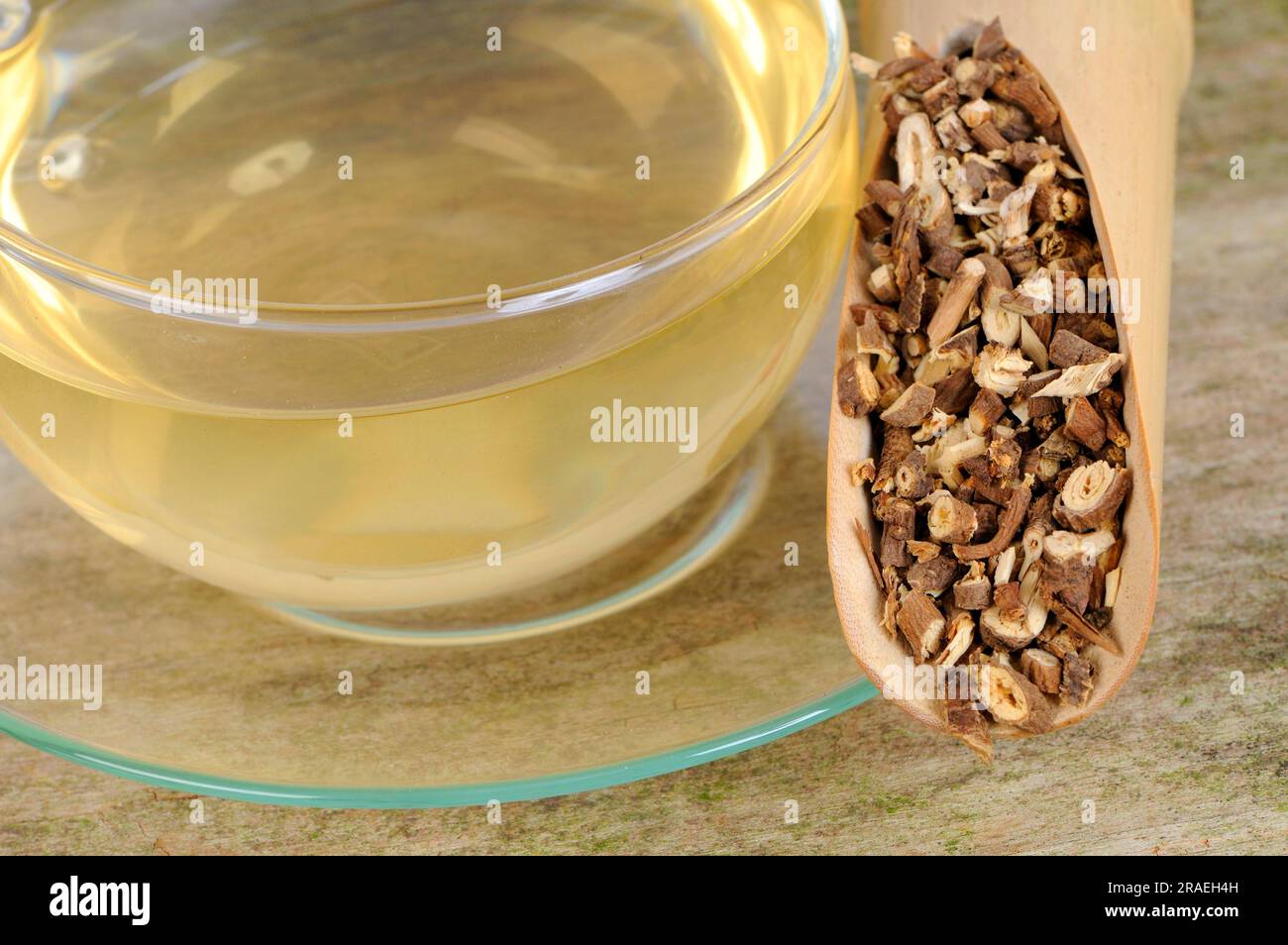 Radix bupleuri hi-res stock photography and images - Alamy