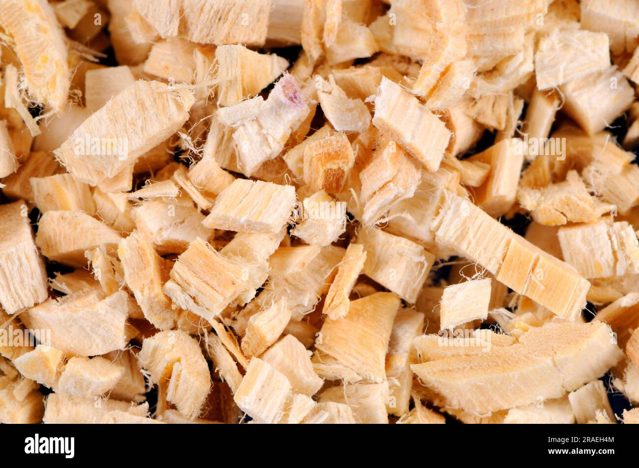 White mulberry root bark (Mori Cortex), Sang Bai Pi Stock Photo - Alamy