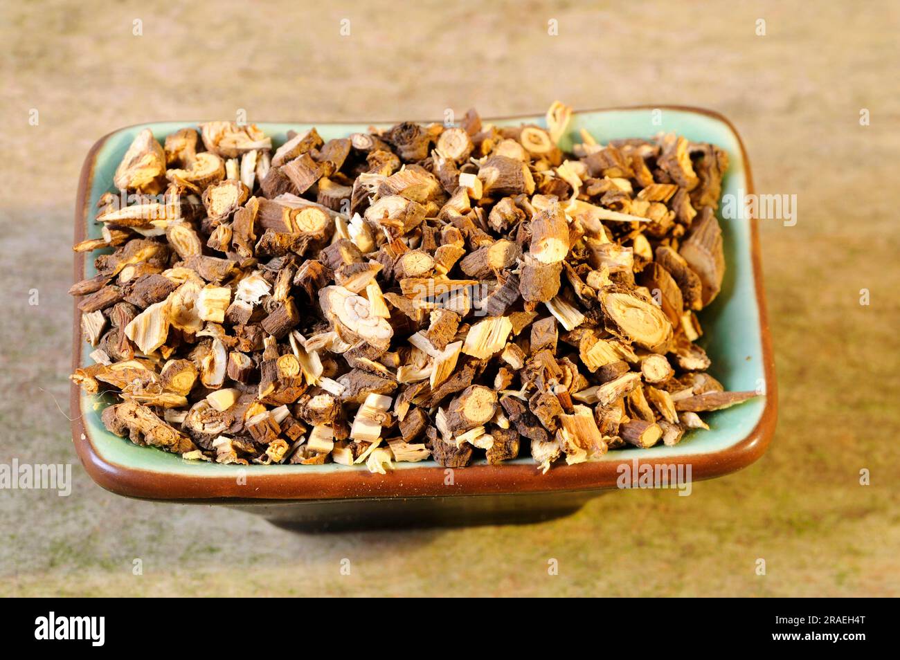 Chinese Rabbit Ear Root (Bupleuri Radix), Chai Hu Stock Photo - Alamy