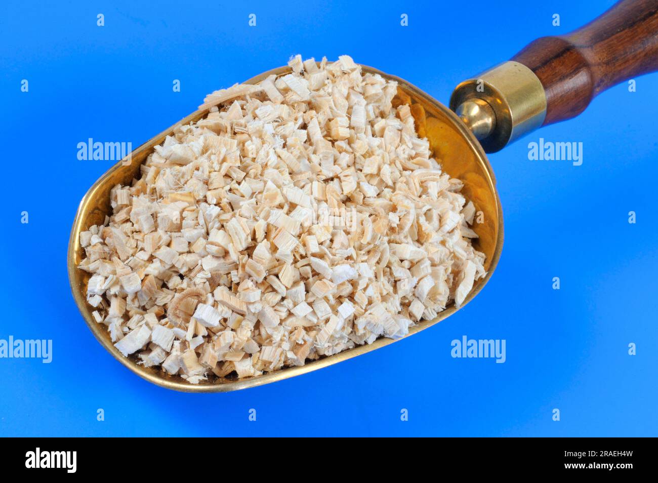 White mulberry root bark (Mori Cortex), Sang Bai Pi Stock Photo - Alamy