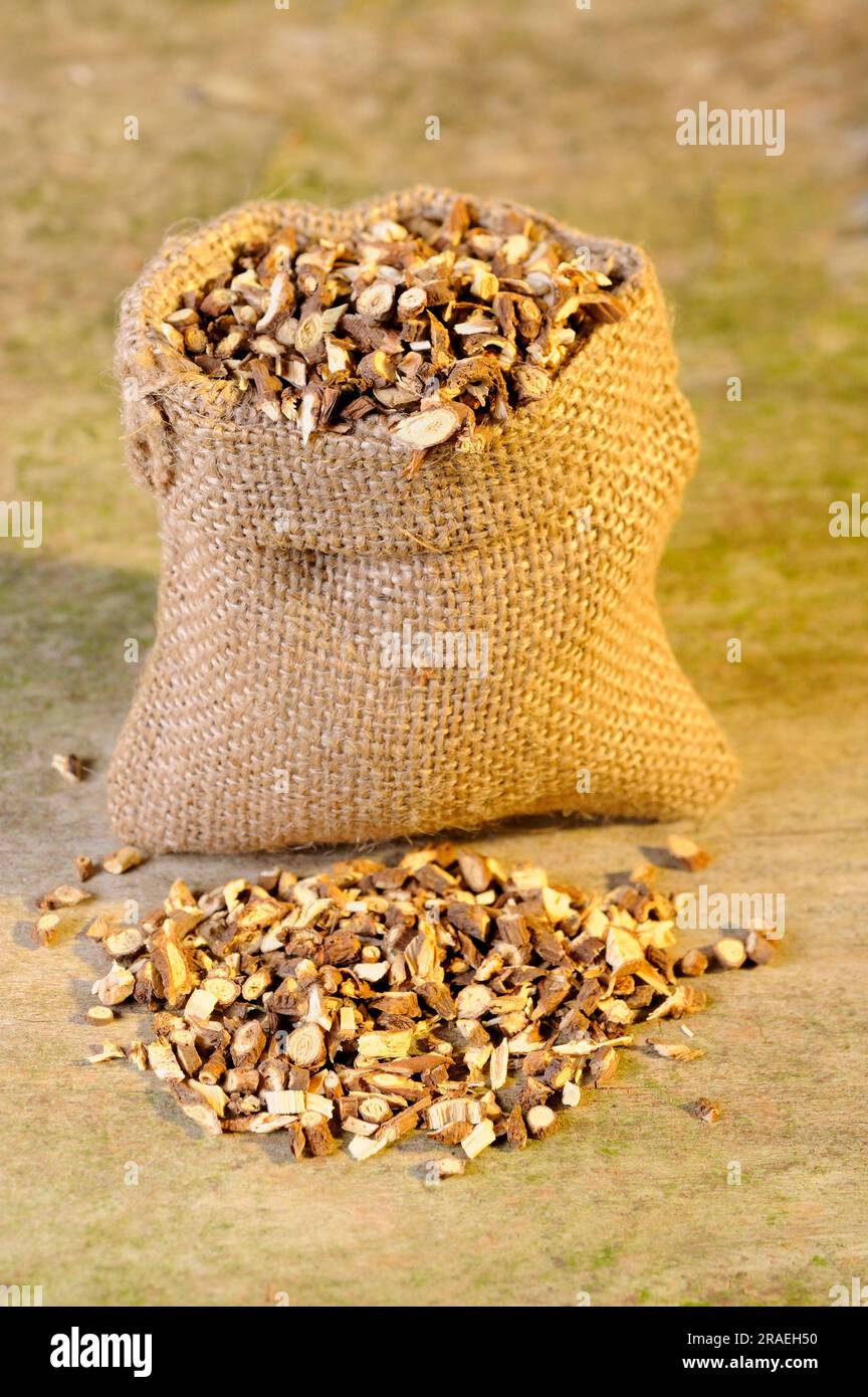 Radix bupleuri hi-res stock photography and images - Alamy