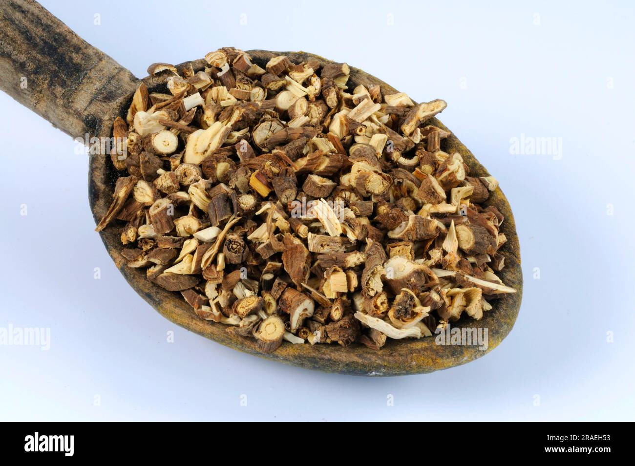 Chinese Rabbit Ear Root (Bupleuri Radix), Chai Hu Stock Photo - Alamy