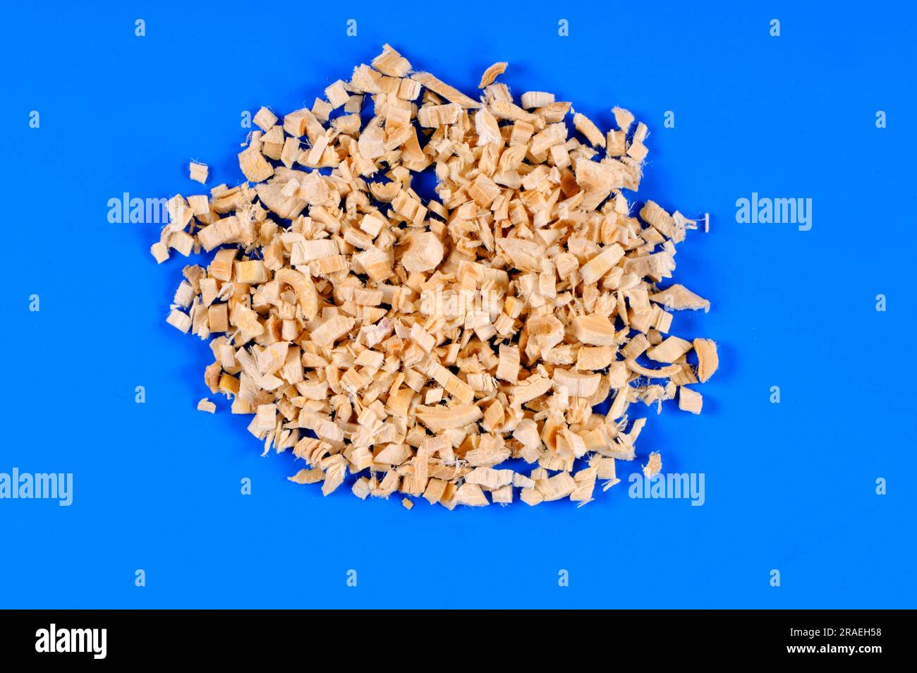 Mulberry bark (Mori Cortex), Sang Bai Pi, cut out, object Stock Photo ...
