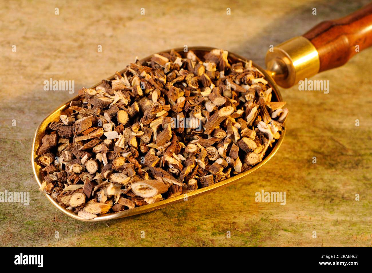 Radix bupleuri hi-res stock photography and images - Alamy