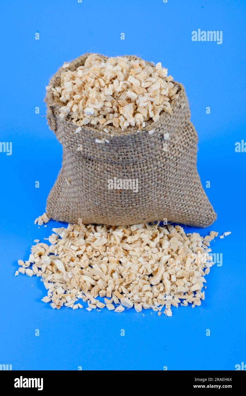 Mulberry bark (Mori Cortex), Sang Bai Pi, cut out, object Stock Photo ...