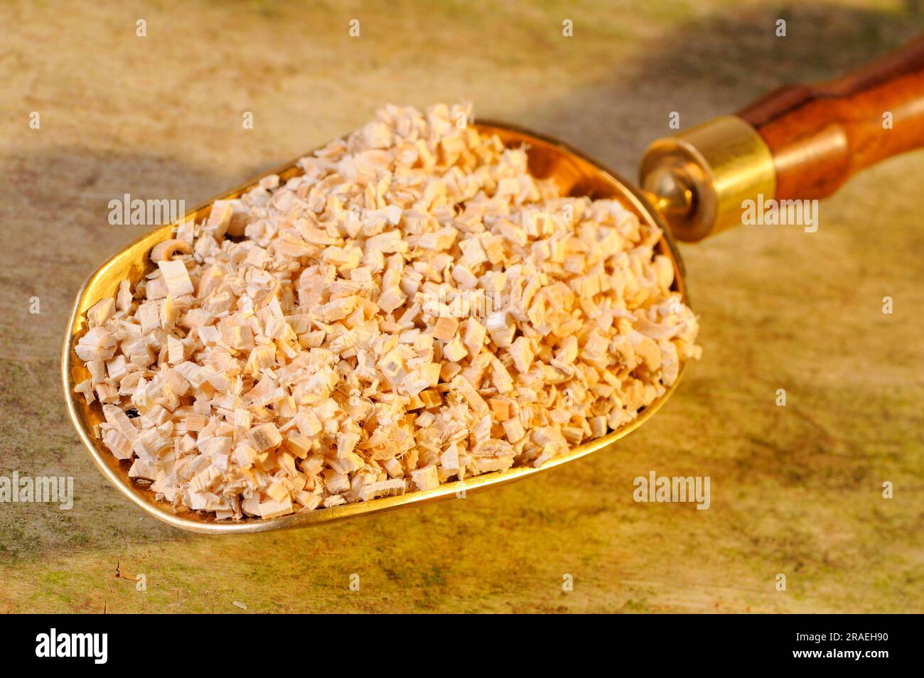 White mulberry root bark (Mori Cortex), Sang Bai Pi Stock Photo - Alamy