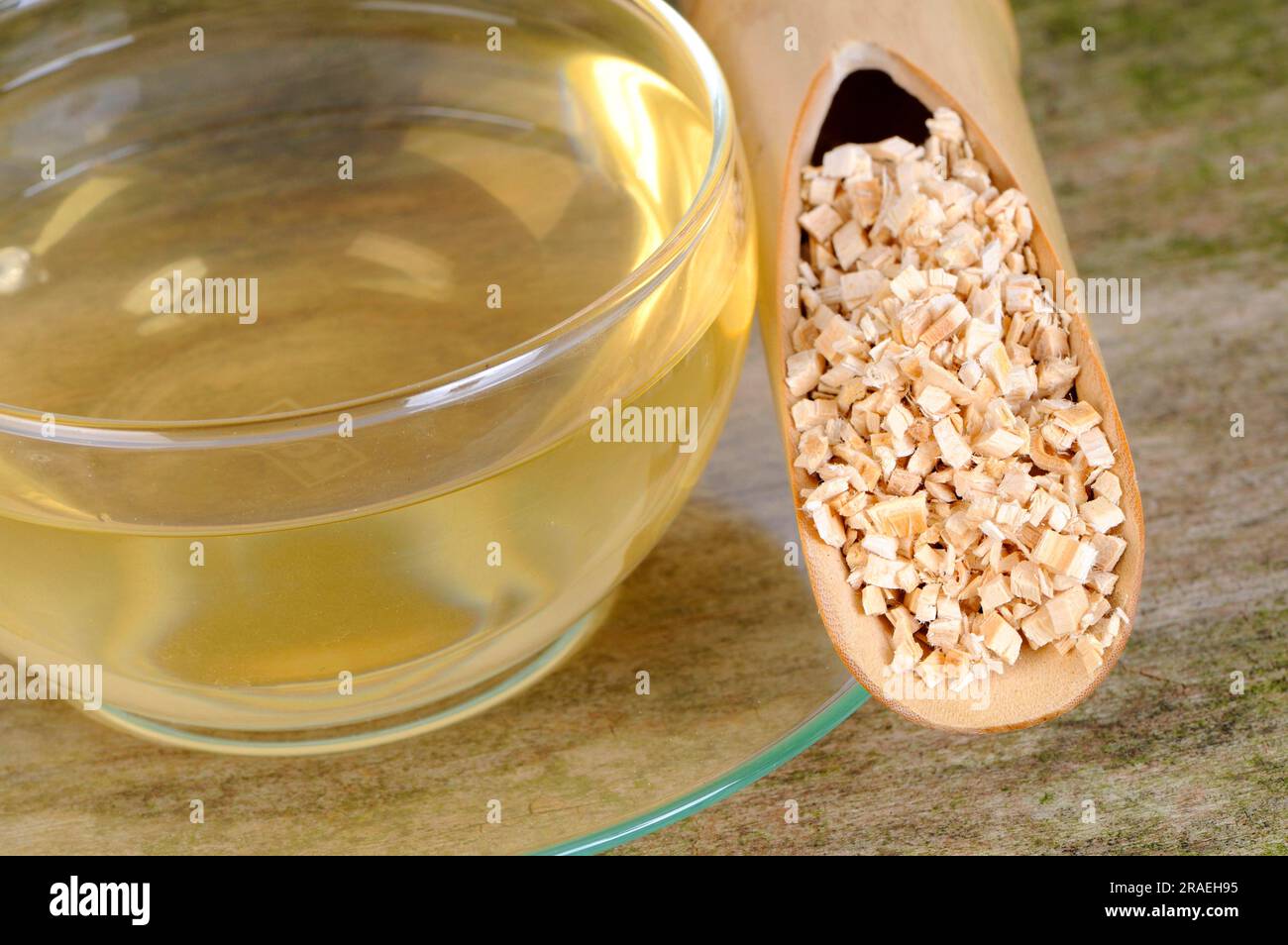 Cup of White Mulberry Root Bark Tea (Mori Cortex), Sang Bai Pi Stock ...