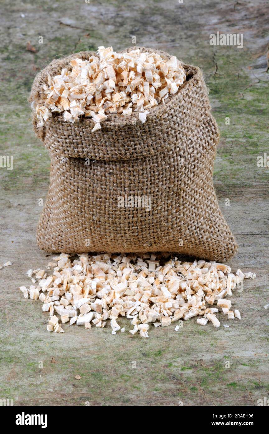 White mulberry root bark (Mori Cortex), Sang Bai Pi Stock Photo - Alamy