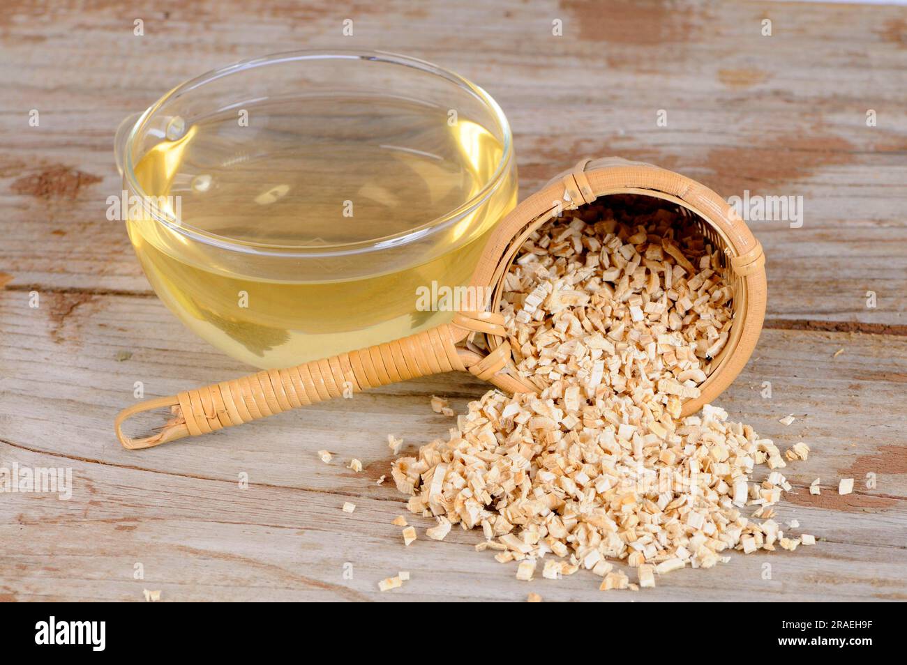 Cup of White Mulberry Root Bark Tea (Mori Cortex), Sang Bai Pi Stock ...