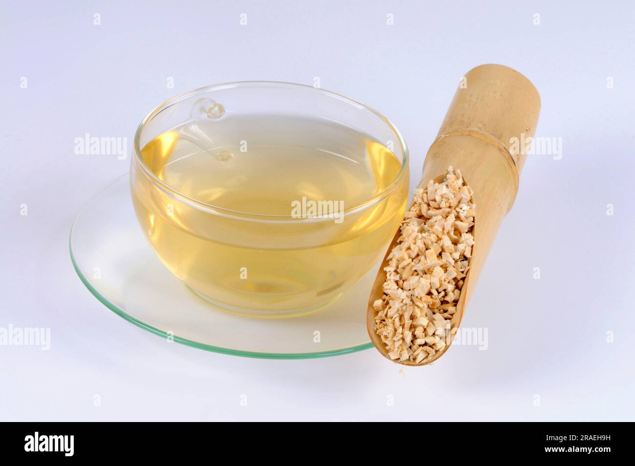 Cup of White Mulberry Root Bark Tea (Mori Cortex), Sang Bai Pi Stock ...