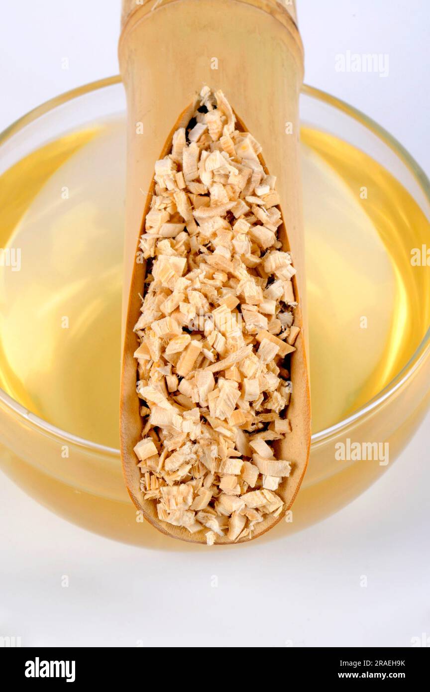 Cup of White Mulberry Root Bark Tea (Mori Cortex), Sang Bai Pi Stock ...