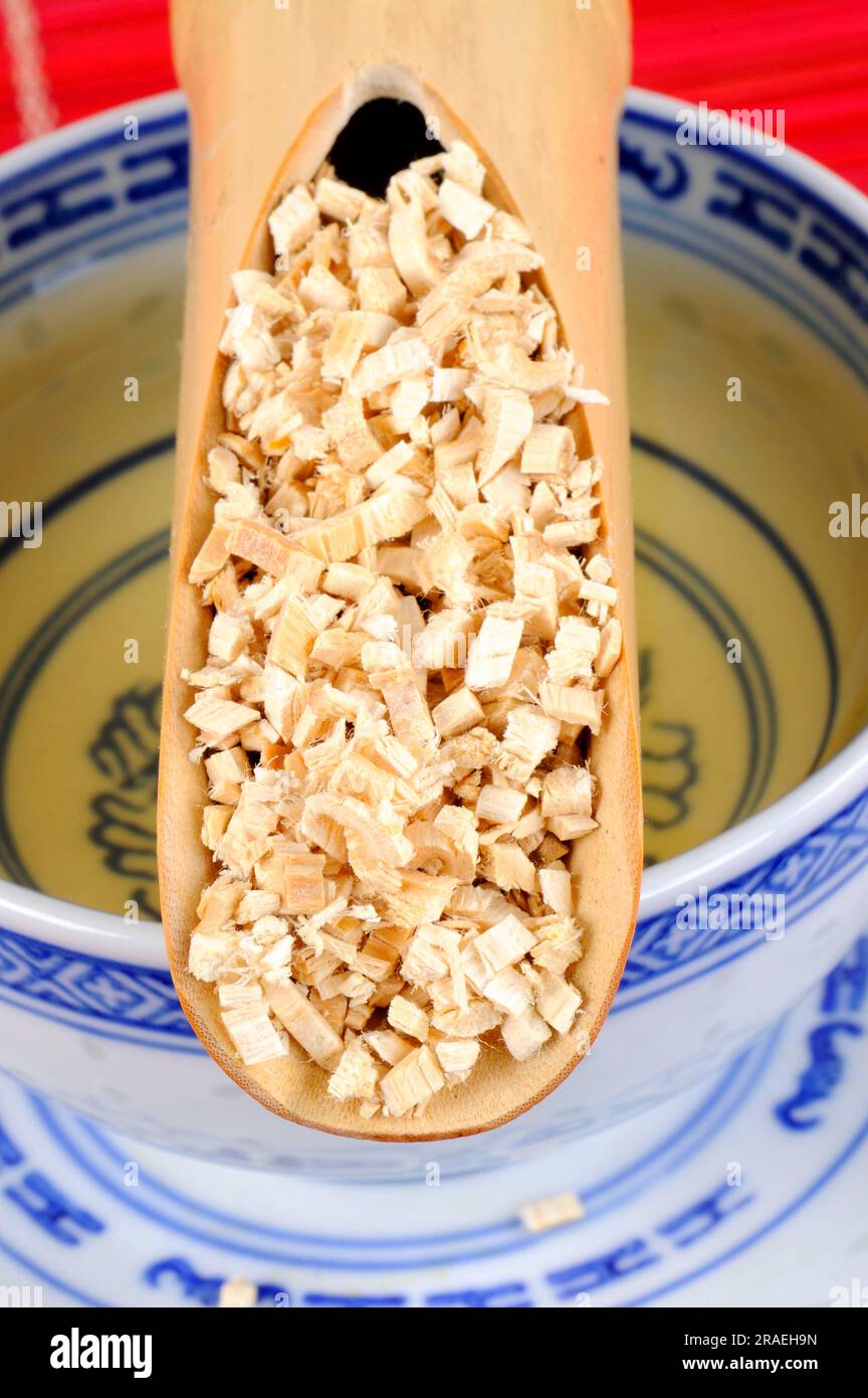 Cup of White Mulberry Root Bark Tea (Mori Cortex), Sang Bai Pi Stock ...