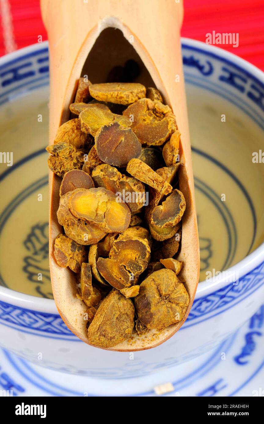 Cup Yanhusuo Larkspur Rootstock Tea (Corydalis Yanhusuo Rhizoma), Yan ...