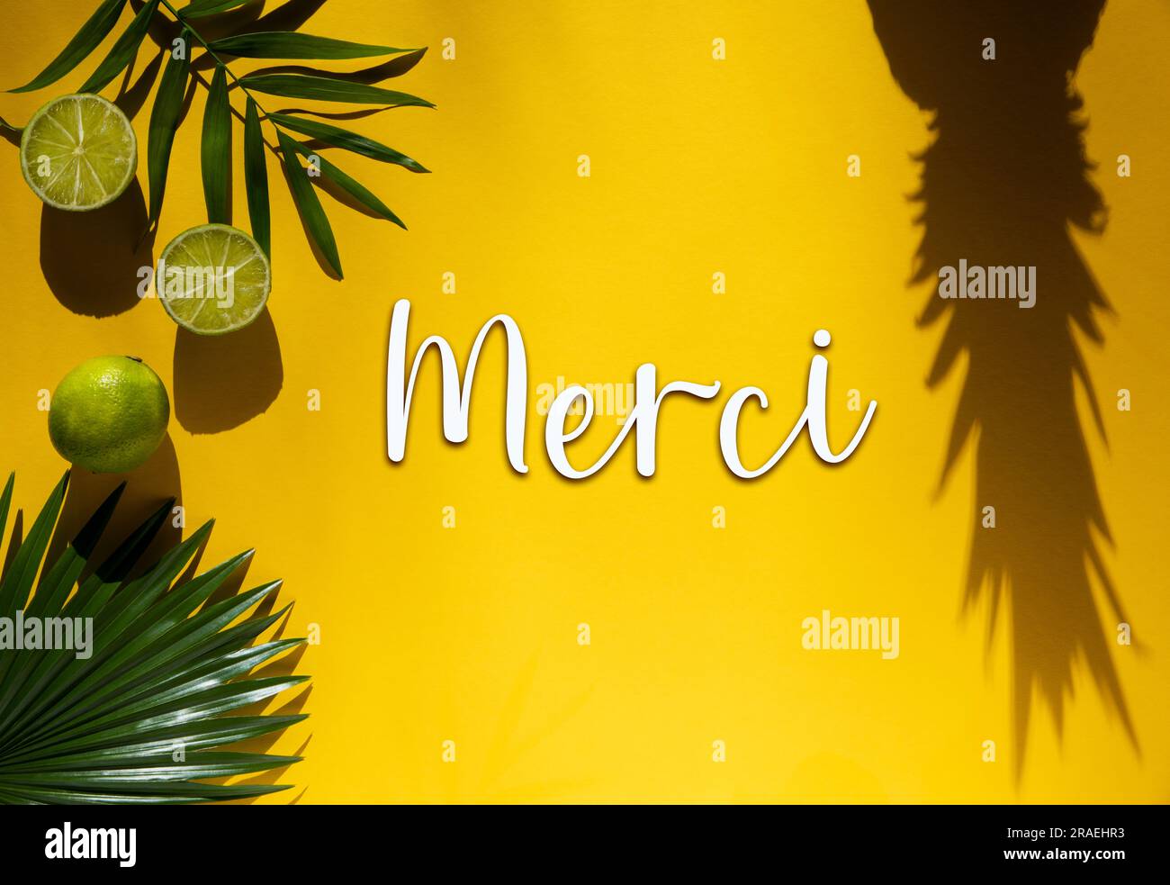 Summer Flat Lay, Tropical Fruits, Text Merci Means Thank You Stock ...