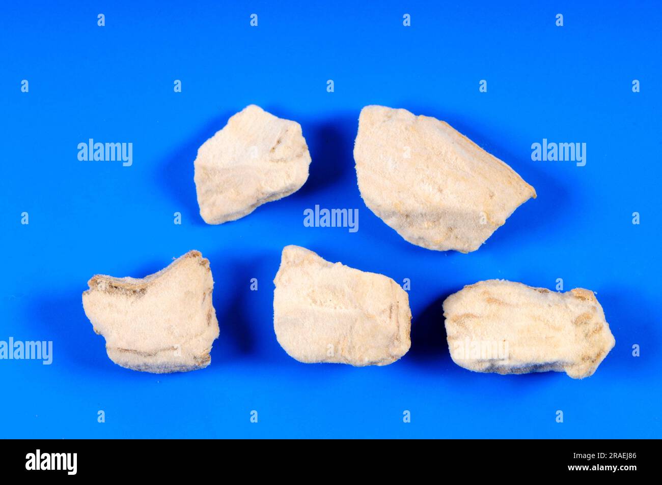 Fourstamen Stephania root (Stephaniae tetrandrae Radix), Fang Ji ...
