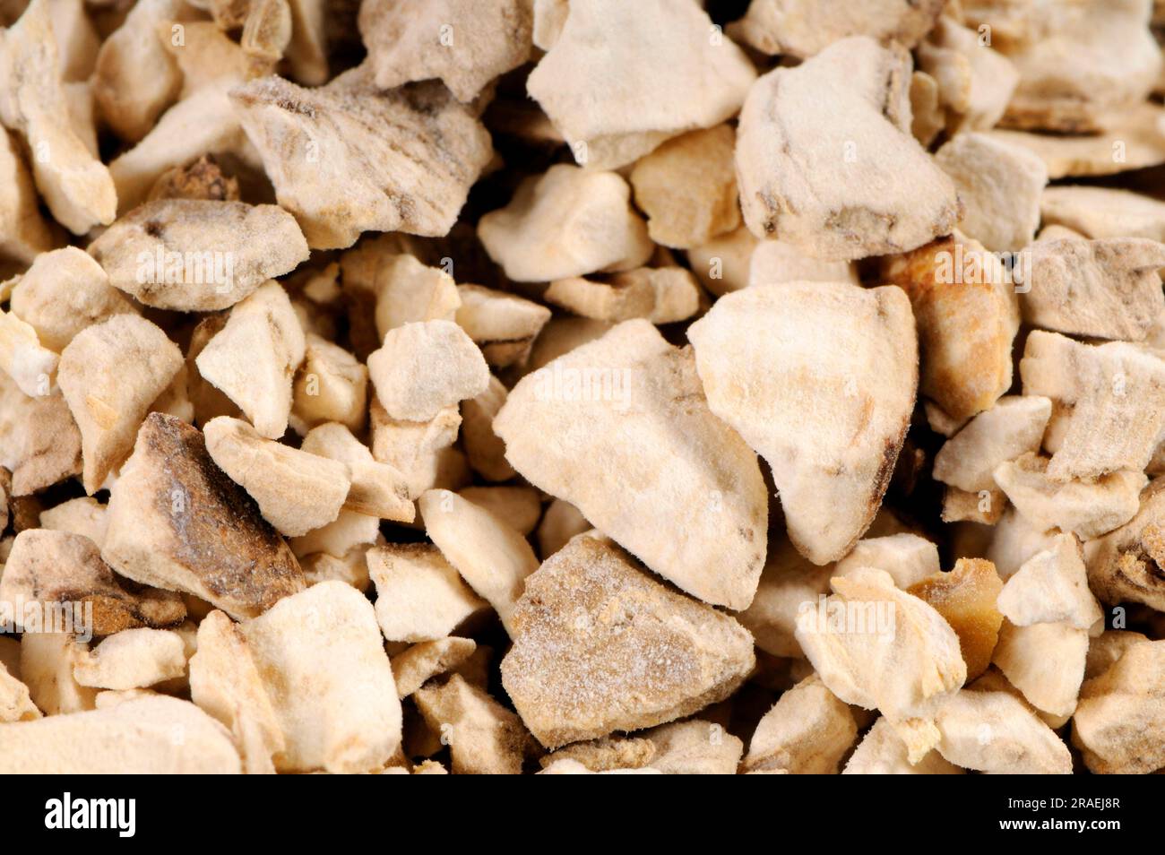 Fourstamen Stephania root (Stephaniae tetrandrae Radix), Fang Ji Stock ...