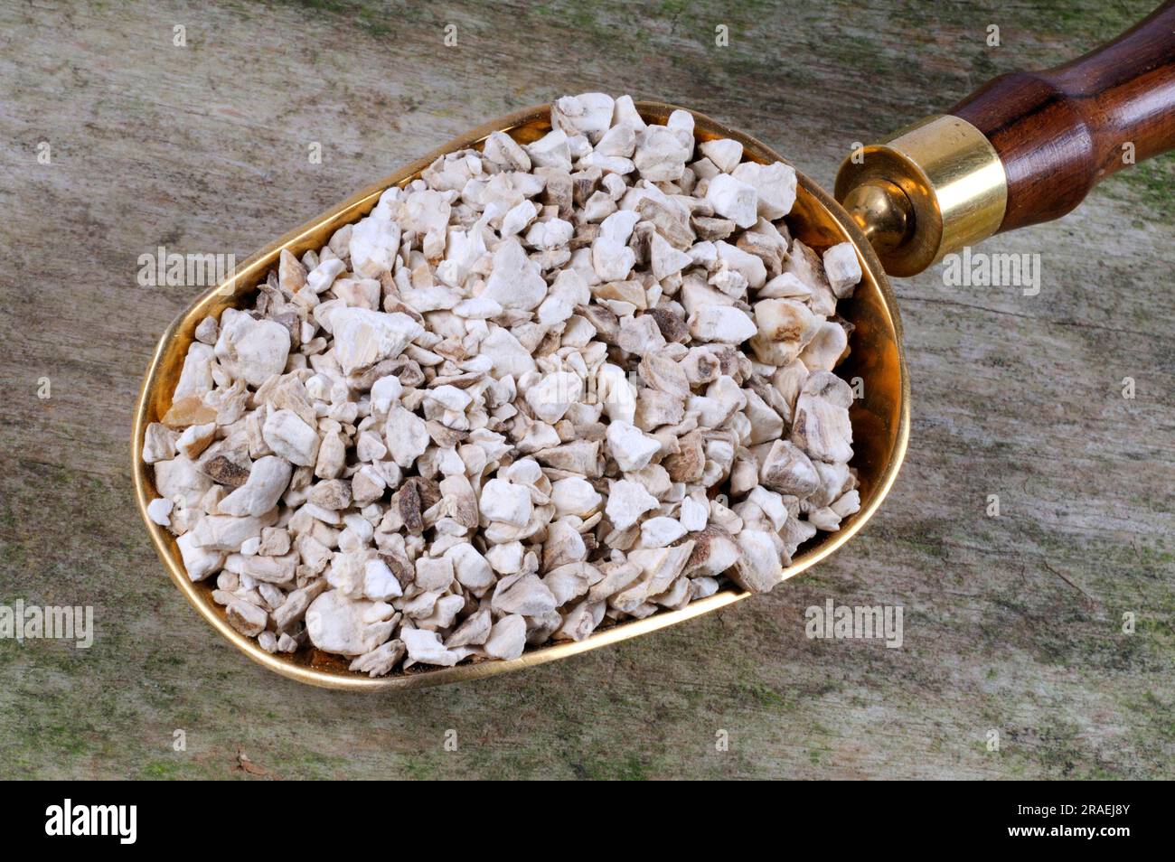 Fourstamen Stephania root (Stephaniae tetrandrae Radix), Fang Ji Stock ...