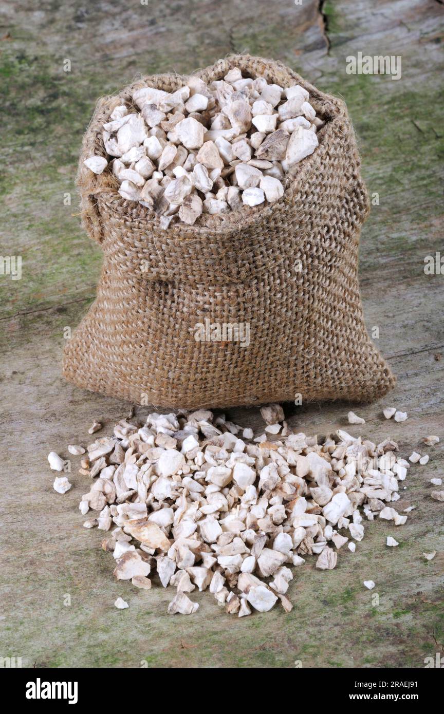 Fourstamen Stephania root (Stephaniae tetrandrae Radix), Fang Ji Stock ...