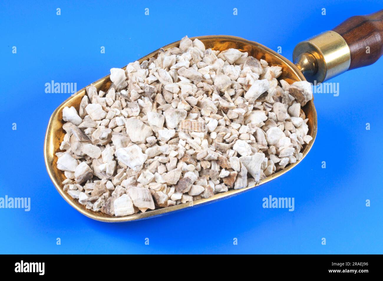 Fourstamen Stephania root (Stephaniae tetrandrae Radix), Fang Ji Stock ...