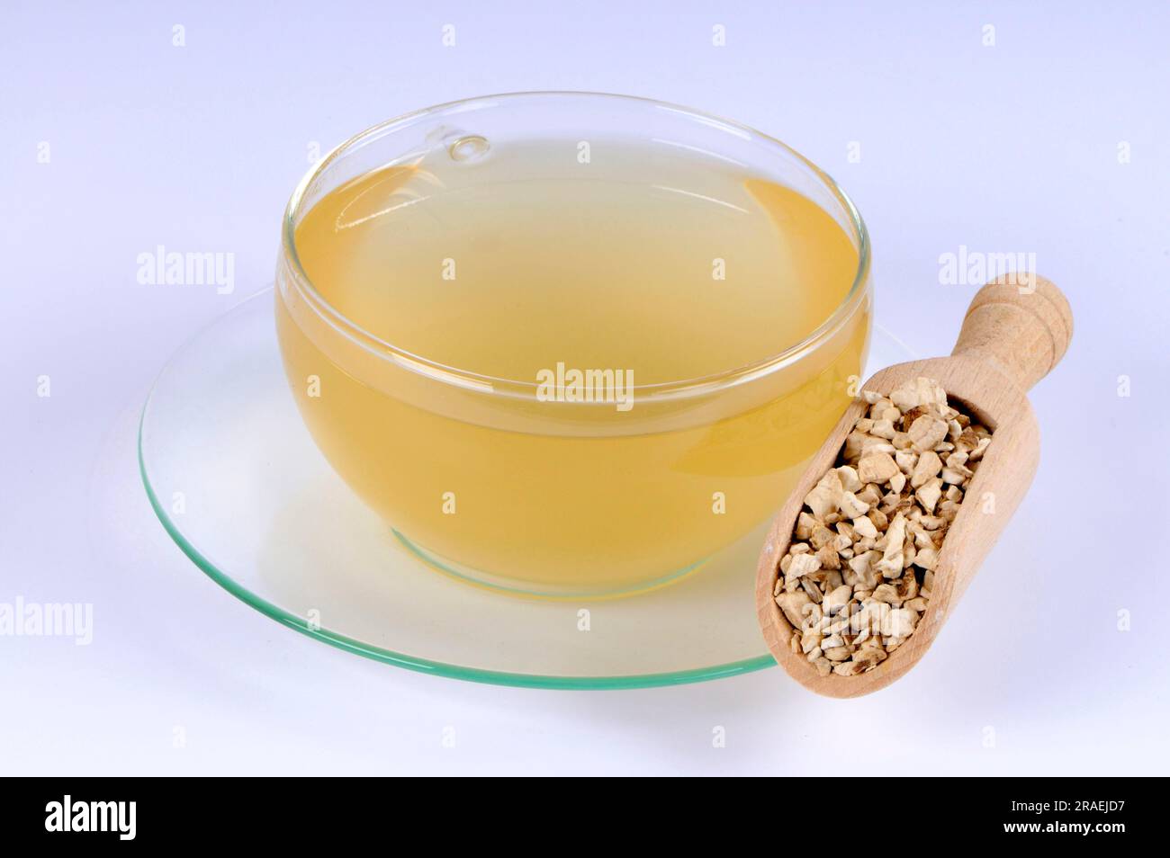 Cup of Fourstamen Stephanie Root Tea (Stephaniae tetrandrae Radix ...