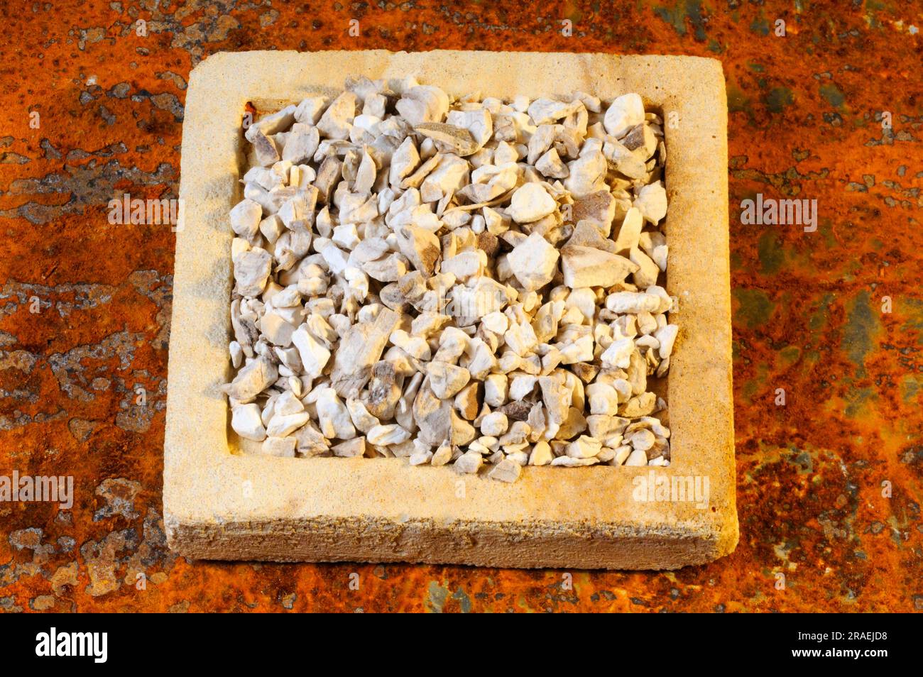 Fourstamen Stephania root (Stephaniae tetrandrae Radix), Fang Ji Stock ...