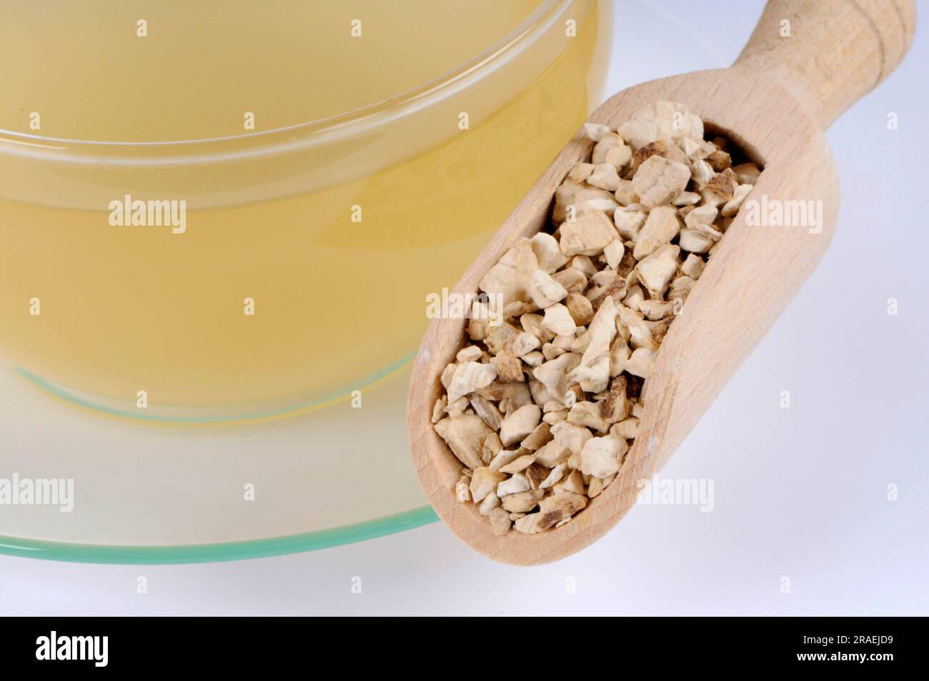 Cup of Fourstamen Stephanie Root Tea (Stephaniae tetrandrae Radix ...