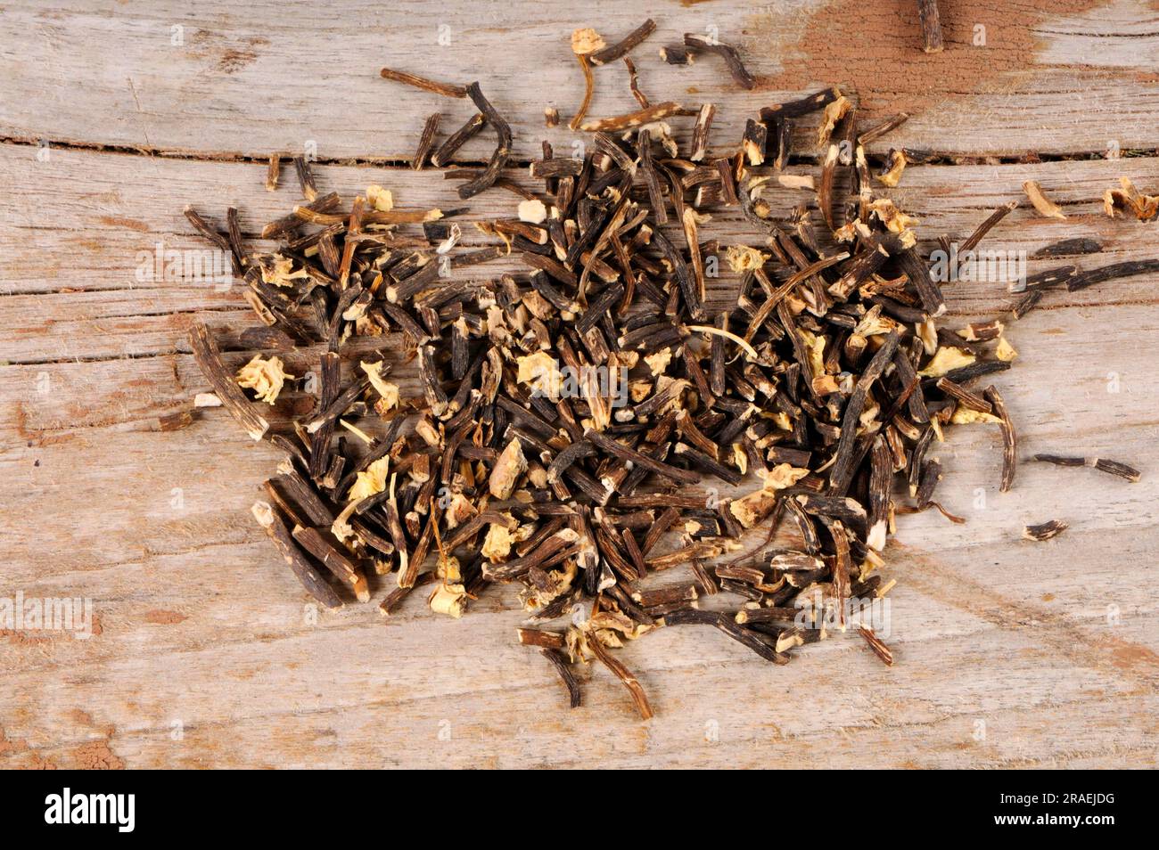 Chinese Clematis (Clematidis Radix), Wei Ling Xian Stock Photo - Alamy