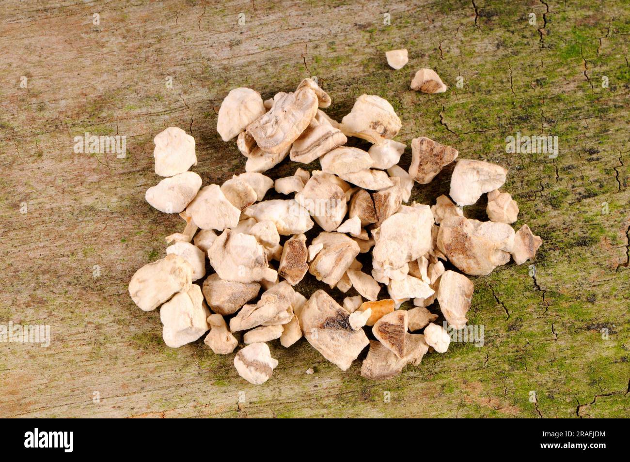 Fourstamen Stephania root (Stephaniae tetrandrae Radix), Fang Ji Stock ...