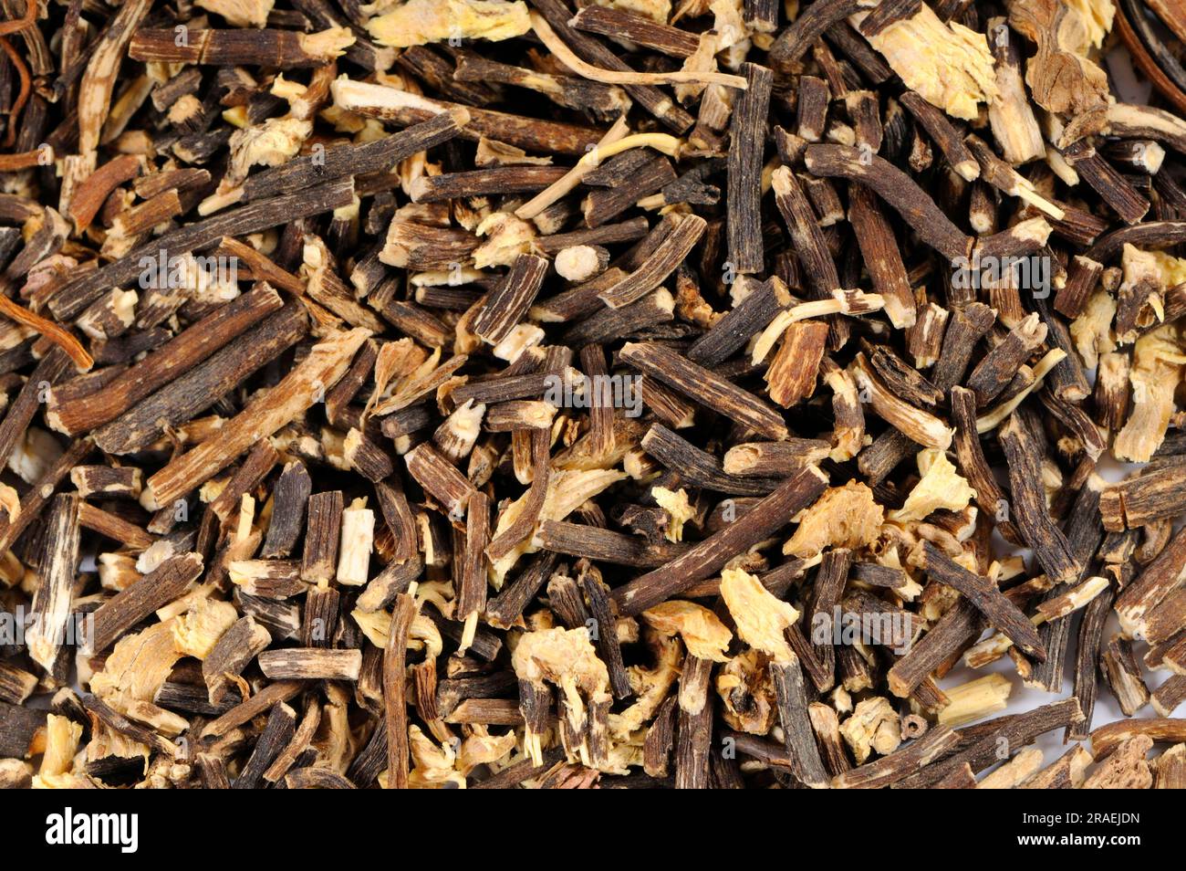 Chinese Clematis (Clematidis Radix), Wei Ling Xian Stock Photo - Alamy