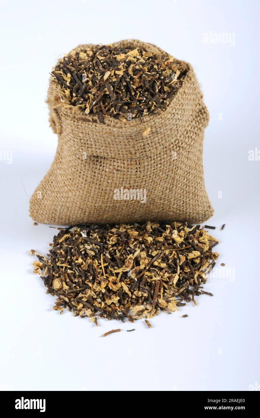 Chinese woodland vine root (Clematidis Radix), Wei Ling Xian, free ...