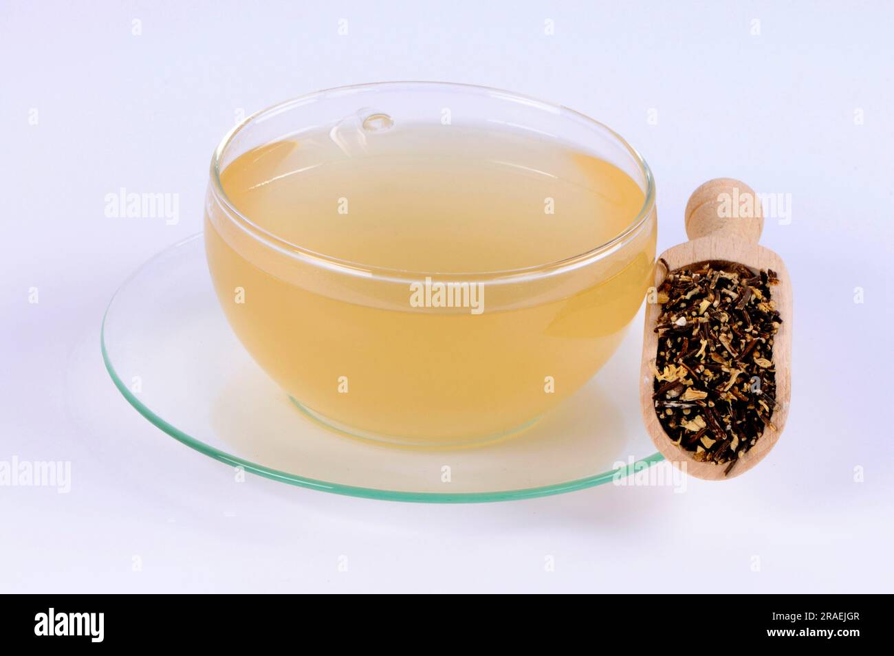 Cup of Chinese Forest Vine Root Tea (Clematidis Radix), Wei Ling Xian ...