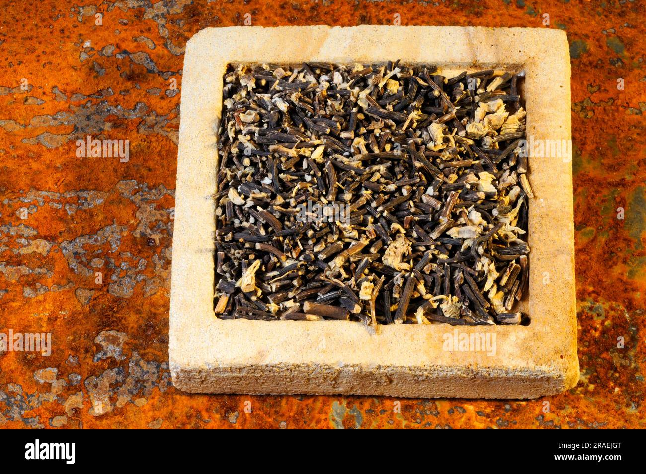 Chinese Clematis (Clematidis Radix), Wei Ling Xian Stock Photo - Alamy