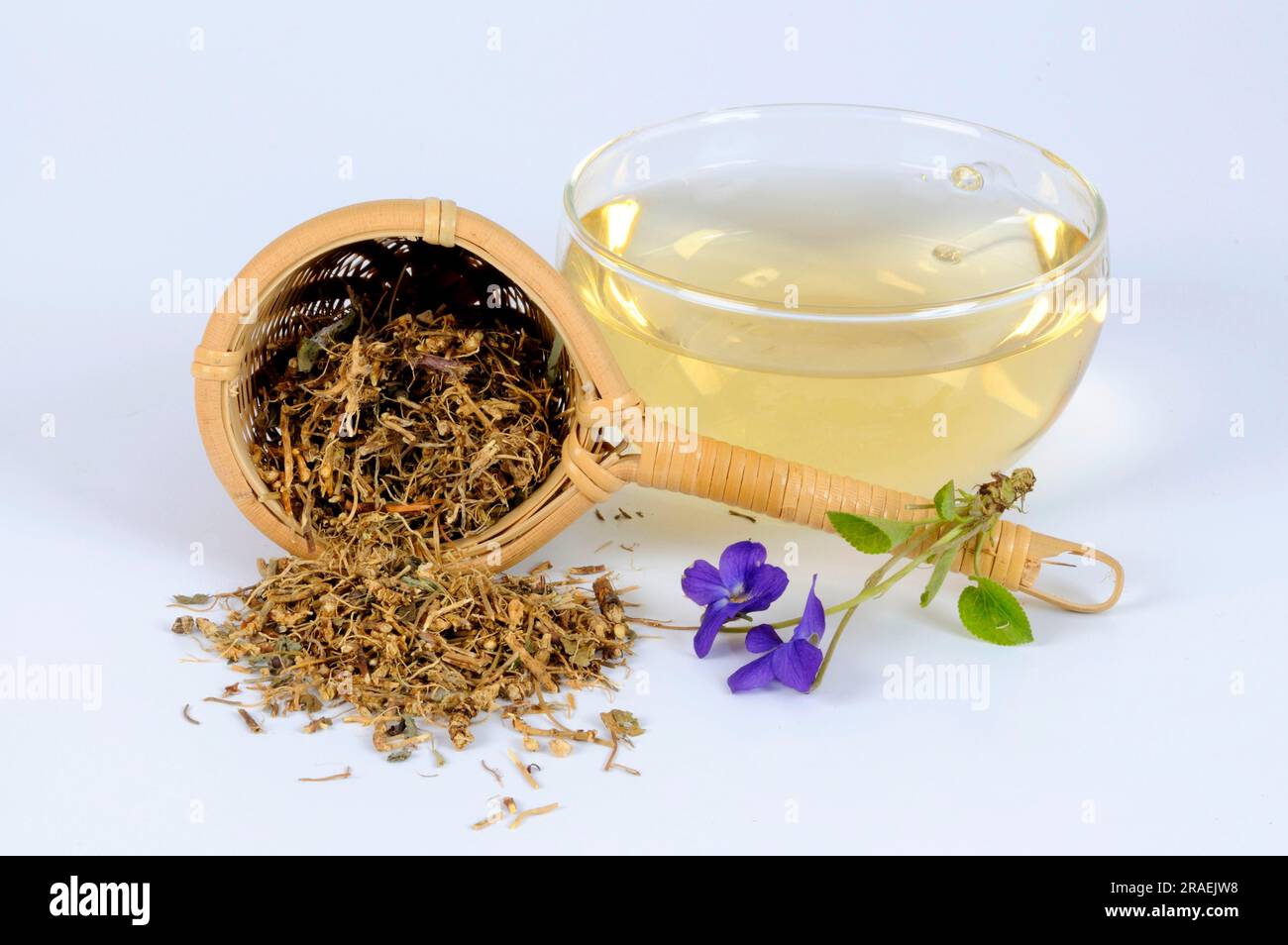 Cup of March Violet Rootstock Tea, March Violet, March Violet Rootstock ...