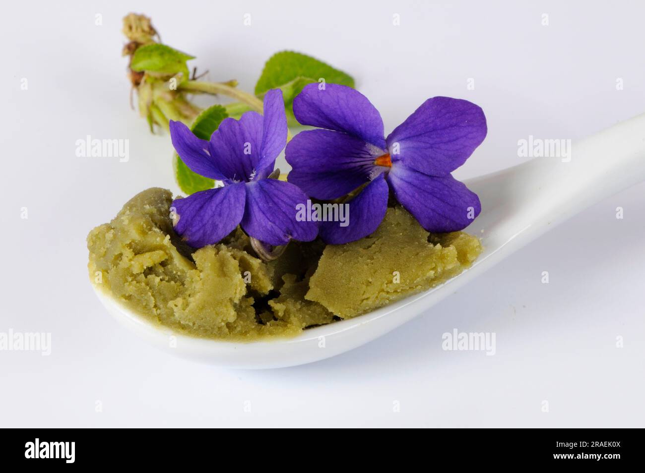 March violet ointment, March violet ointment, March violet, March ...