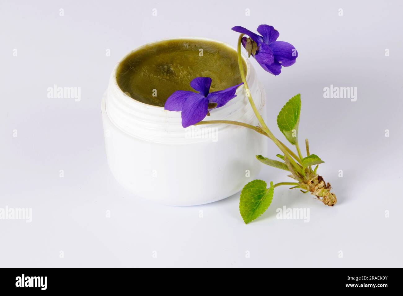 March violet ointment, March violet ointment, March violet, March ...