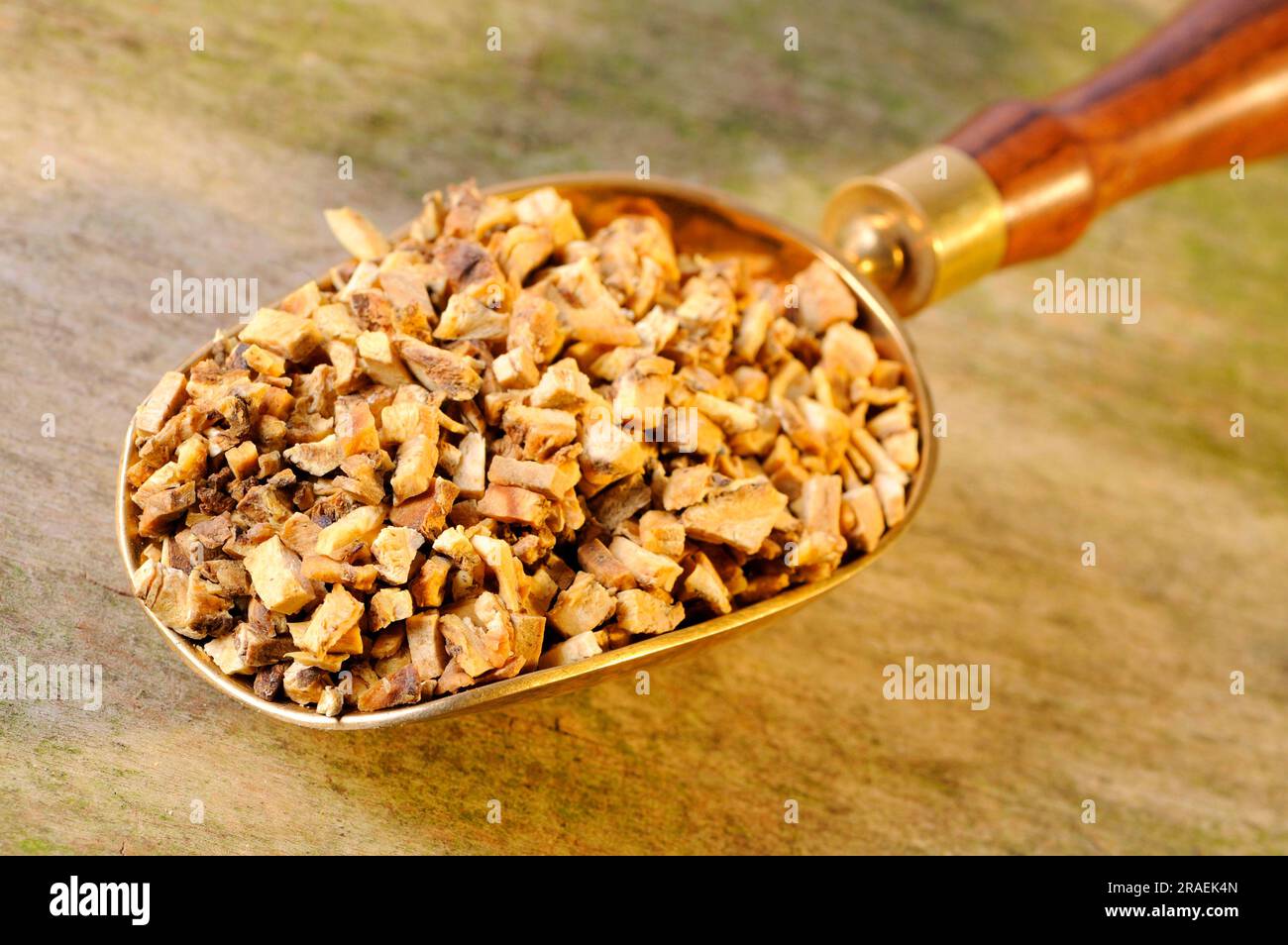 Angelica pubescens root (Angelicae pubescentis Radix), Du Huo Stock ...