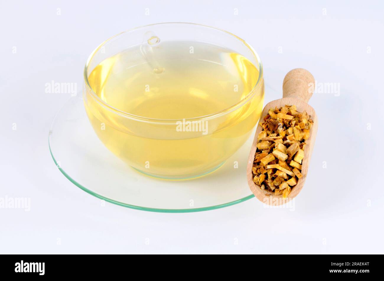 Cup of Angelica pubescens root tea (Angelicae pubescentis Radix ...