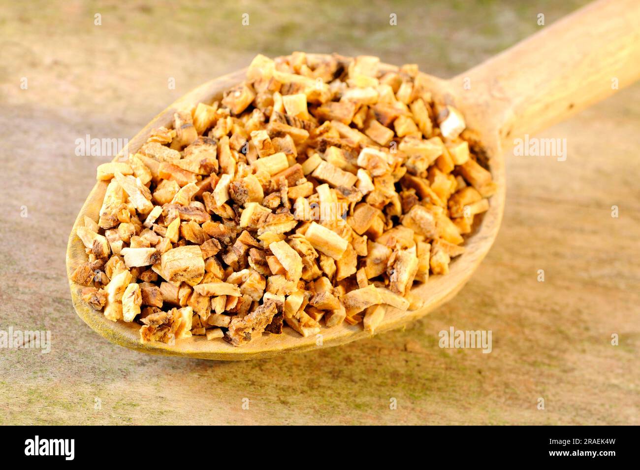 Angelica pubescens root (Angelicae pubescentis Radix), Du Huo Stock ...