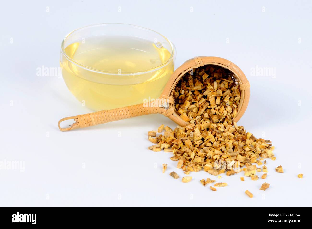 Cup of Angelica pubescens root tea (Angelicae pubescentis Radix ...