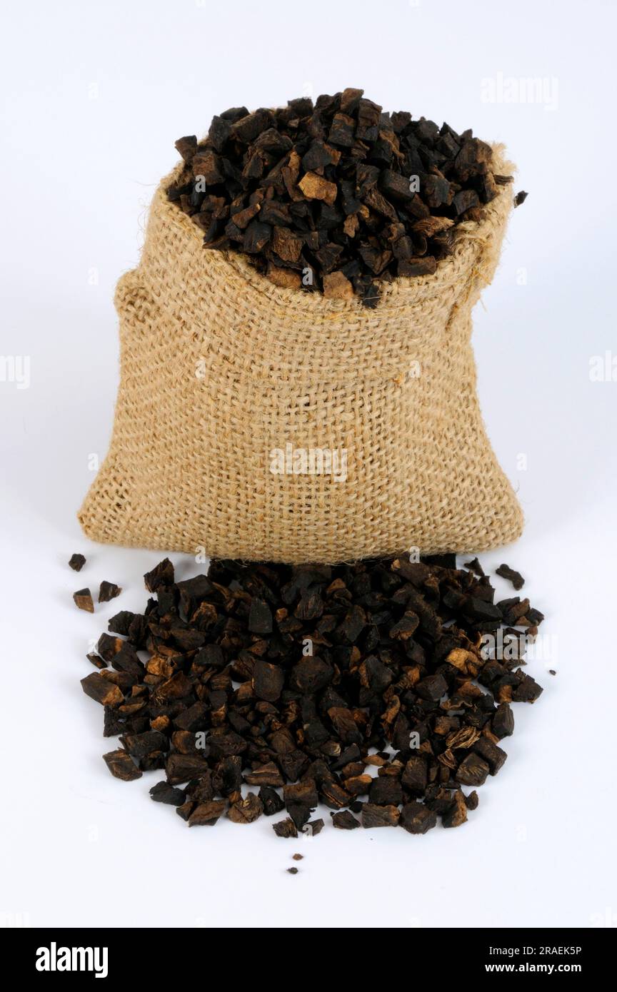 Ningpo brown root (Scrophulariae Radix), Xuan Shen, cut out, object ...