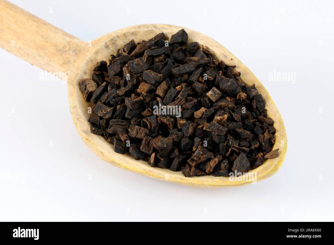 Fig Root (Scrophulariae Radix), Xuan Shen Stock Photo - Alamy